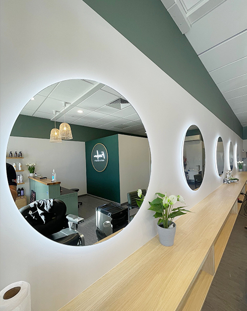 Medical Fitouts - Dental Fit Out Specialists - Auckland NZ - M8Fitout